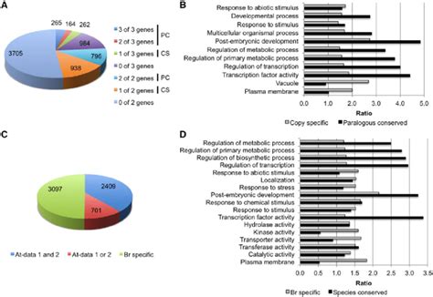 Analysis Of Paralogous And Species Conserved Genes A Classification