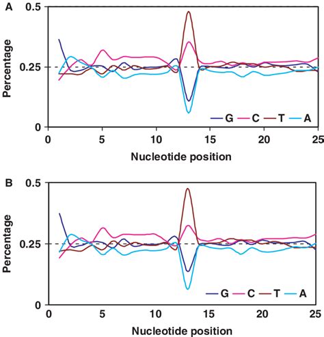Position Specific Nucleotides Usage Distribution Of Mm Following