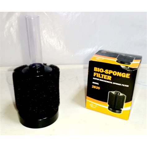 Sponge Filter Bacteria At Velma Wright Blog