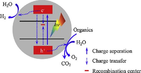 Schematic Illustration Of Typical Photocatalytic Processes Download