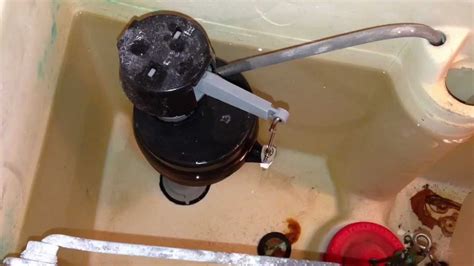 How To Adjust The Float On Your Toilet At Ashley Sam Blog