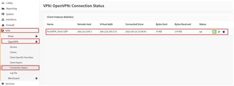 Opening Ports Behind A Starlink Connection Wiki The Abyss Project