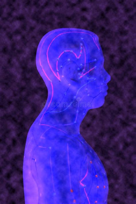 3d Illustration Medical Acupuncture Model Of Human Stock Illustration