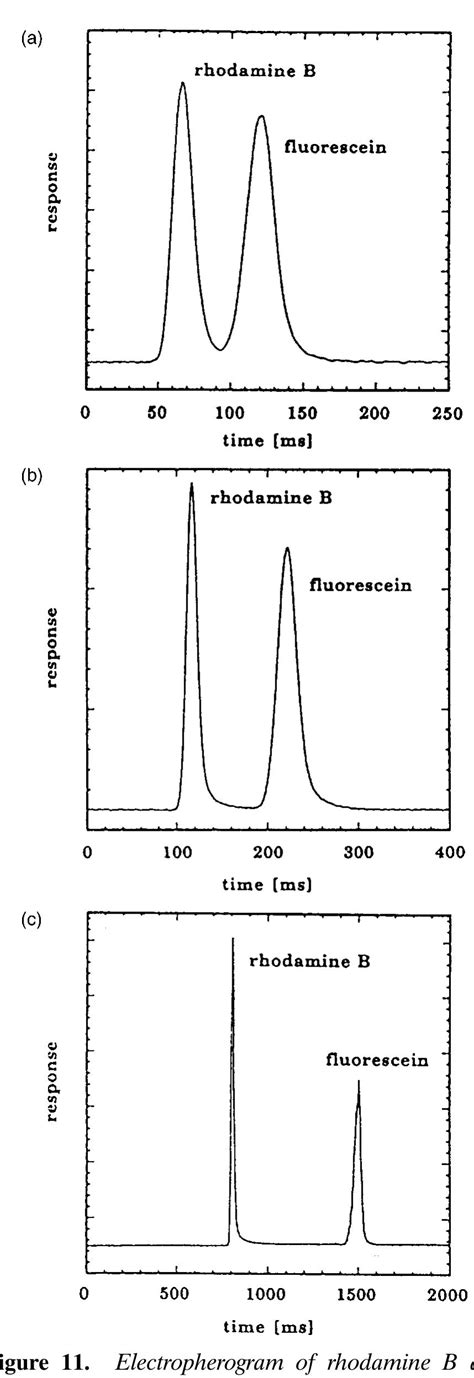 Figure 11 Miniaturization Of Capillary Electrophoresis