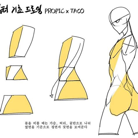 타코작가 On Instagram 타코 타코작가 드로잉 캐릭터 그림강좌 일러스트 웹툰 만화 그림 미술 인체
