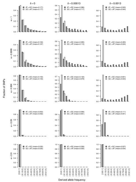 13 Derived Allele Frequencies Spectrum Obtained Through Simulations