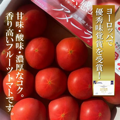 【楽天市場】【送料無料】高糖度フルーツトマト アメーラ 【1ケースあたり10～18個前後・約1kg入】 化粧箱入り 静岡県産 トマト 野菜 旬