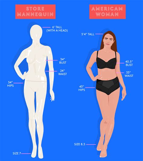 Average Female Body Measurements