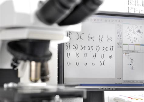 Setgene Lab Centre Complete Care Full Body Care Basic Care Anytime