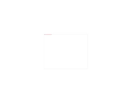 Examples Ppt