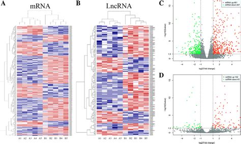Identification Of De Lncrnas And Mrnas A Heatmaps Of De Mrnas Between