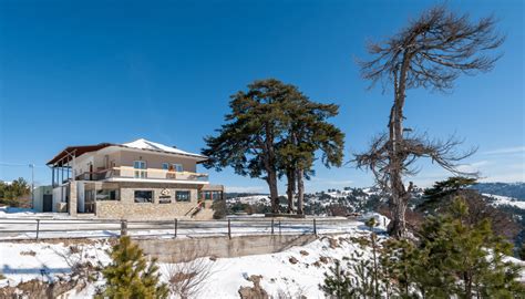 Ξενώνας Κουκουνάρι Διαμονή στη Σμίξη Γρεβενών στη Βασιλίτσα