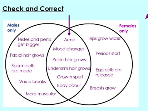 Adolescence Puberty Ks3 Activate Reproduction Teaching Resources