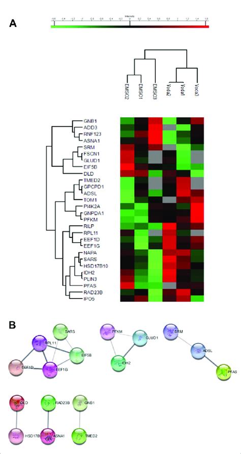 A Heatmap Showing The Proteins Differentially Expressed In Cd34