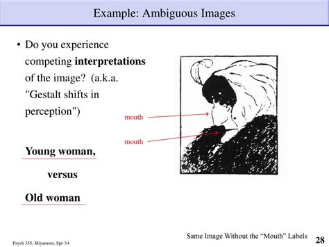 Ppt Localization Of Function Example Of Face Perception Then Gestalt