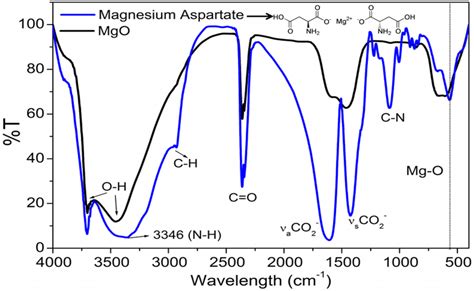 Ftir Spectra Of Mgo And Magnesium Aspartate Nanomaterials Download