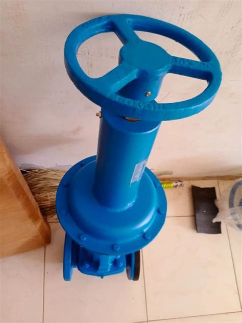 Cast Iron Procon Valve Diaphragm Blue At ₹ 49855piece In Anand Id