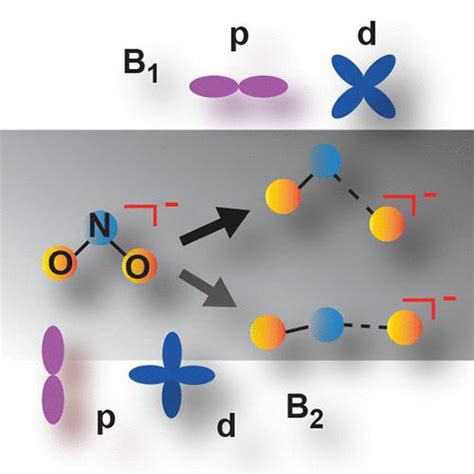 阴离子二氧化氮在低共振态下的解离动力学the Journal Of Physical Chemistry Letters X Mol