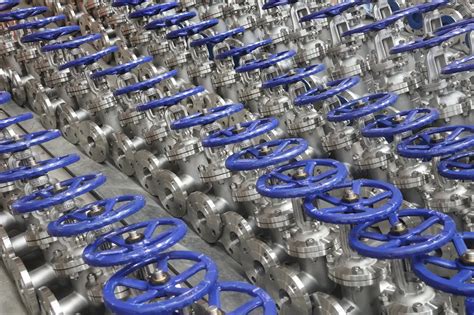 API Vs API D Understanding The Differences In Valve Standards