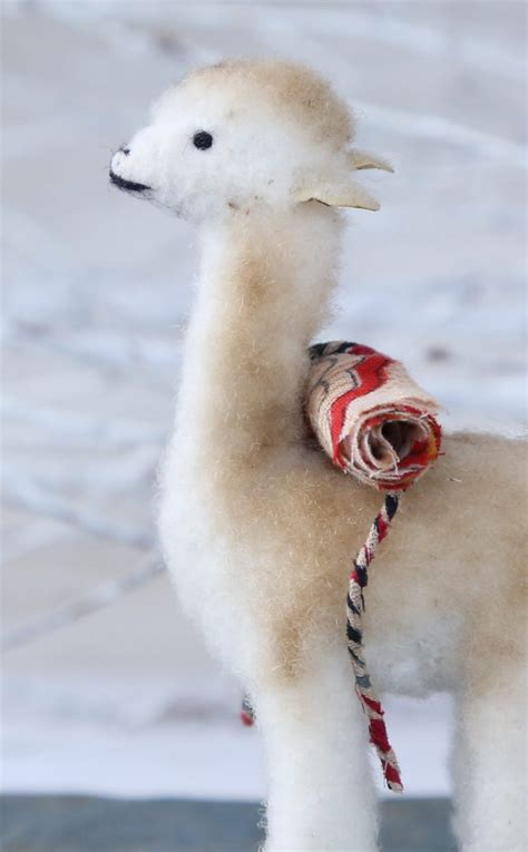 Victor Vicuna Goes On A Quest Ten Thousand Villages