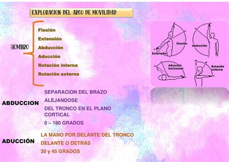 Exploración Del Arco De Movilidad Carolina Toaza Udocz