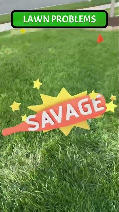 How To Kill Creeping Bentgrass In My Tall Fescue Lawn With Tenacity