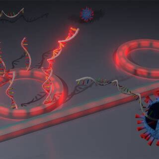 A double MRR structure consisting of two identical MRRS 200 μm Download Scientific Diagram