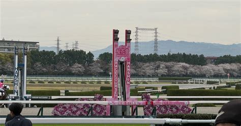 混戦桜花賞で12着、34着の着順を決めた見応えのある騎手の攻防を振り返る（第84回桜花賞・第67回阪神牝馬s・第42回nzt回顧）｜芯力🐴
