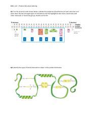 Lecture Protein Structure Activity Extended Pdf BIOL Protein Structure Activity Q