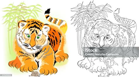 채색을 위한 다채롭고 흑백 패턴 귀여운 호랑이의 그림입니다 어린이와 성인을 위한 워크시트 벡터 이미지입니다 어린이 활동 시트 색칠 공부 0명에 대한 스톡 벡터 아트 및 기타