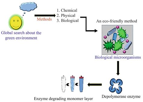 Enzymatic Degradation Of Bioplastics Adapted With Permission From