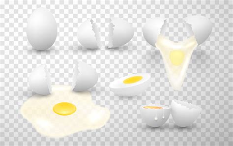 닭 계란 전체 반쪽 금이 깨진 유출 원시 삶은 껍질 세트 알부민 노른자 0명에 대한 스톡 벡터 아트 및 기타 이미지 0명