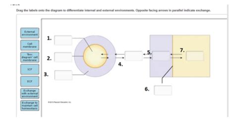 Human Physiology Chapter 1 Introduction To Physiology Flashcards