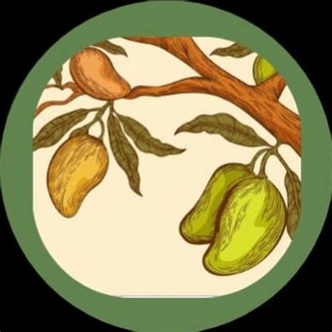 the mango explorer from malihabad youtube