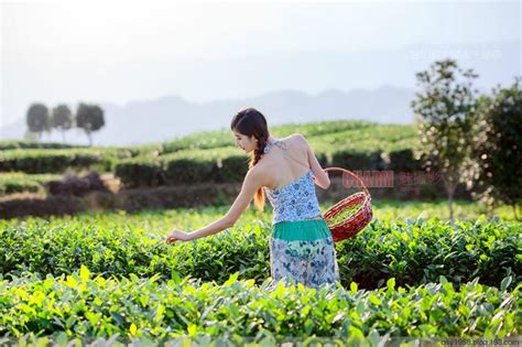 《全栈数据之门》：每个数据分析师都可以有自己的技术文集 知乎