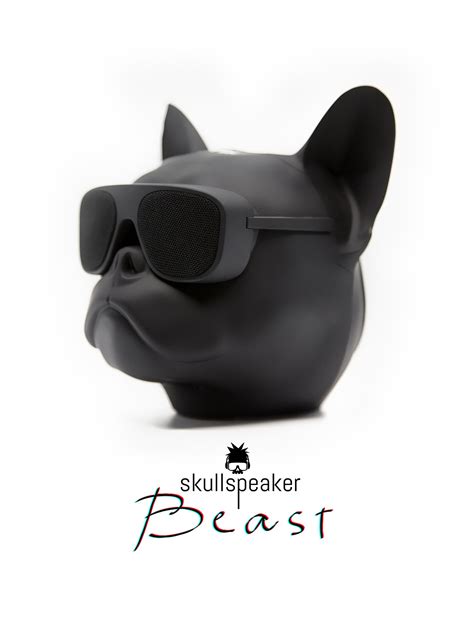 Explore With Music And Style Skull Speaker