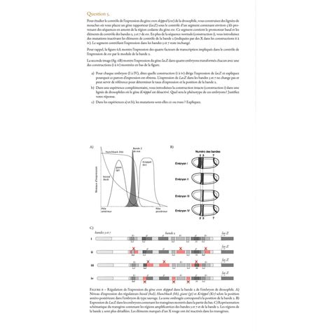 Solved To Study The Control Of The Expression Of The Even Chegg Com