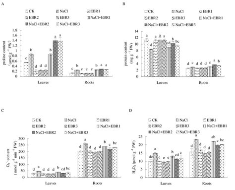 Effects Of Exogenous 24 Epibrassinolide On Proline A Protein Download Scientific Diagram