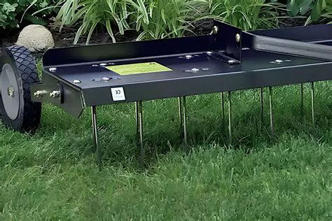 Dethatching St Augustine Grass Unlocking Your Lawns Potential