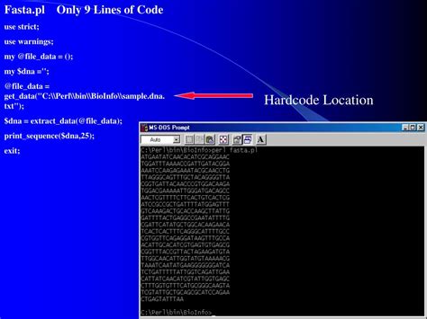 Ppt Perl Programming Developing Key Tools For Bioinformatics