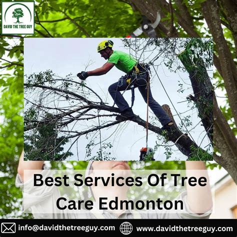 Edmonton Tree Zone At Lester Shippy Blog
