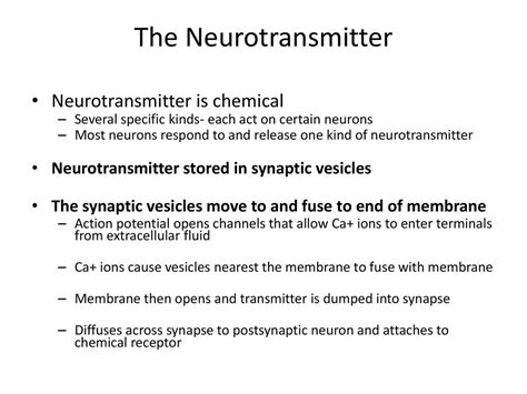 Real Neurons Nisheeth 11th January Ppt Download