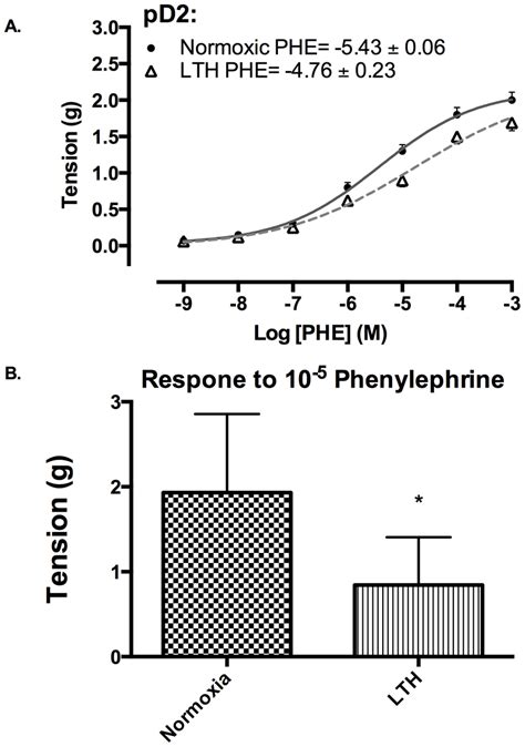 Phenylephrine Phe Responses In Normoxic And Lth Ovine Mca A
