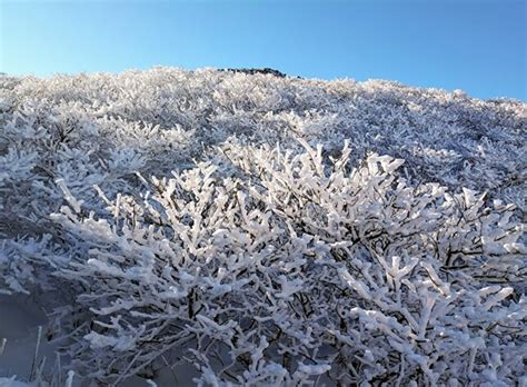 白い珊瑚礁 By レオ （id：12170599） 写真共有サイトphotohito