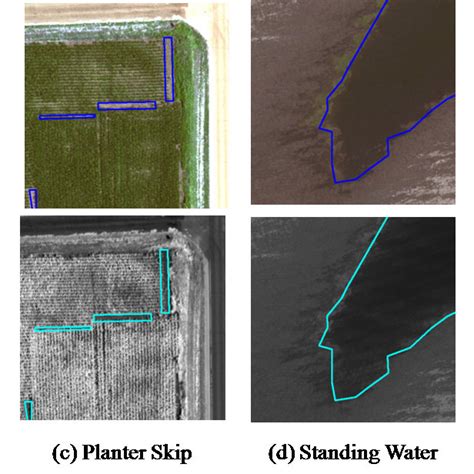 Mbconv Mobile Inverted Bottleneck Convolution Basic Building Block Download Scientific