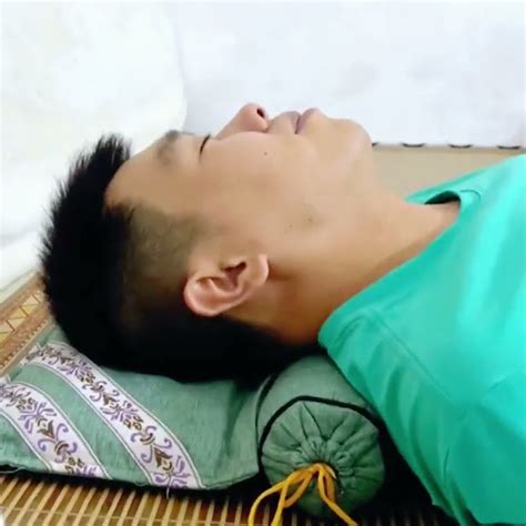 李时珍蕲春艾草頸椎枕頭枕安神助睡眠護頸枕頭，可拆卸組合枕，100艾葉護頸枕李時珍故裏源頭工廠布藝枕頭改善睡眠，頸部頭部按摩枕頭祛寒除濕散寒