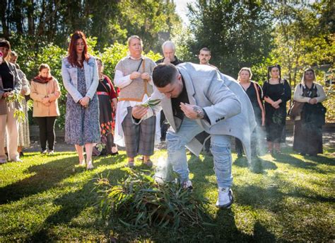 Sean Kinchela On Linkedin 🍃💨