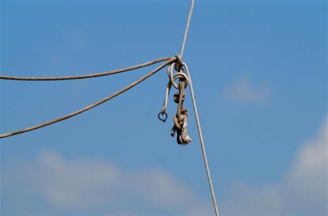 Panduan Praktis Bagian Bagian Crane Dan Cara Kerjanya
