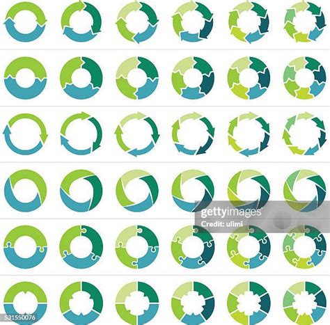 7 Segment Infographic Photos And Premium High Res Pictures Getty Images