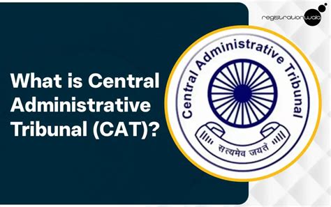 What Is The Central Administrative Tribunal Cat Full Guide